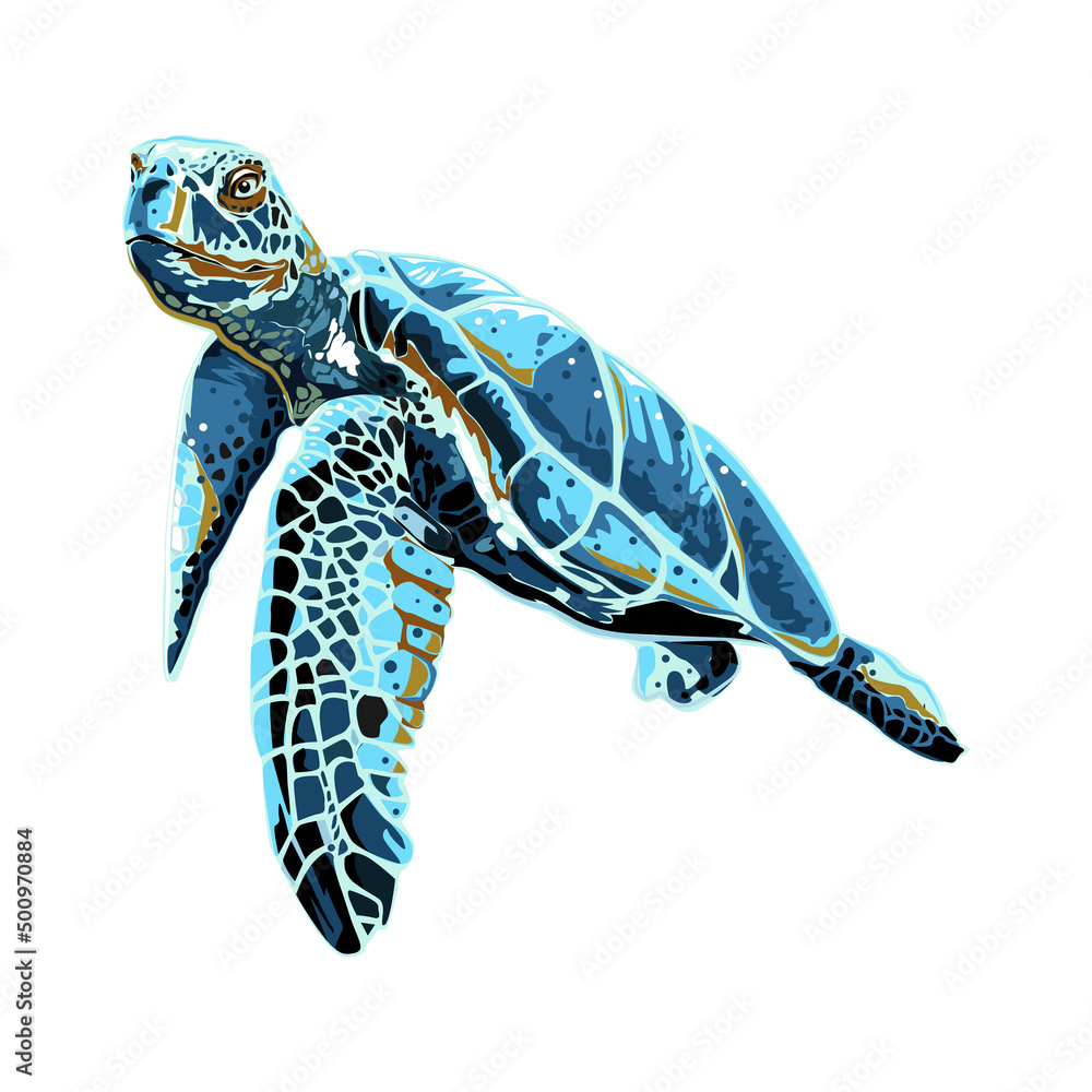 graphic sea turtle,vector illustration of sea turtle,vector of turtle ...