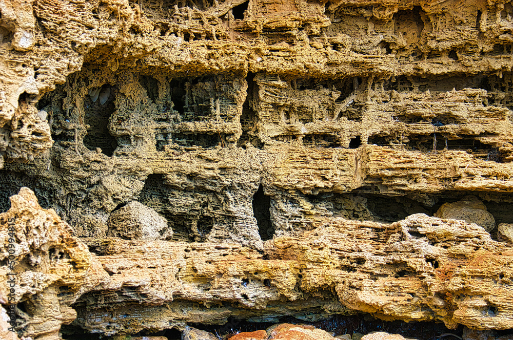 Mysterious erosion patterns in sandstone, with caves ams minuscule ...