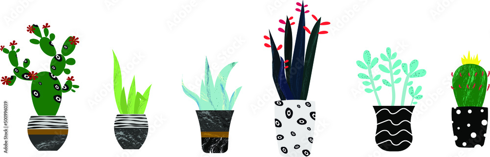 Vector set of colorful cactus plants in colored pots with outlines ...