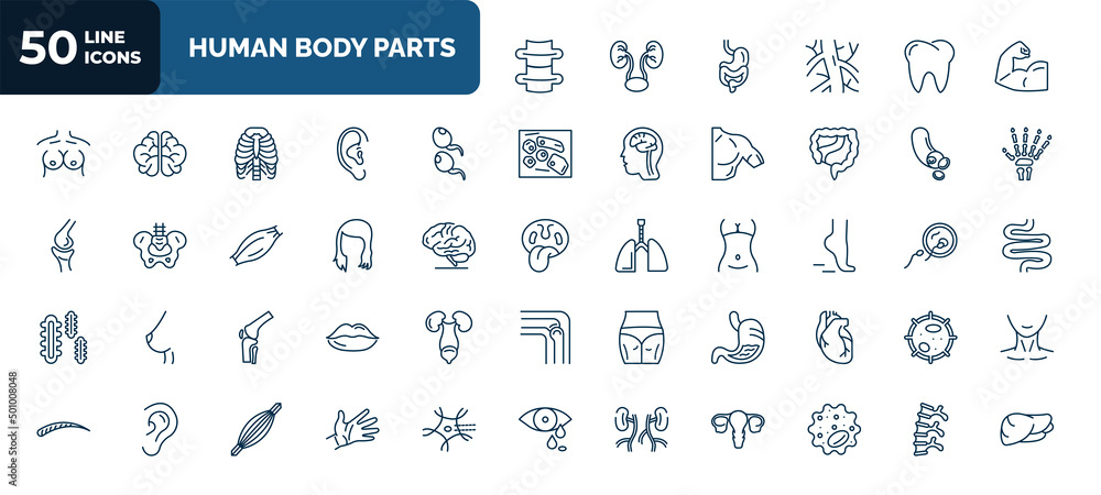 set of 50 human body parts web icons in outline style. thin line icons ...