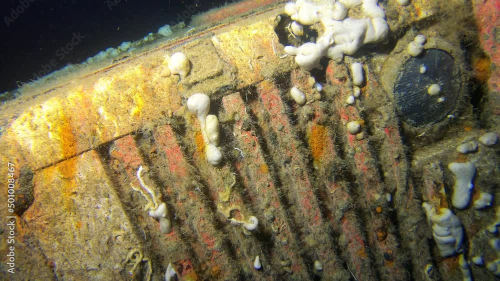 Vidéo Stock Scuba divers swims on the Shipwreck Swedish ferry MS ...