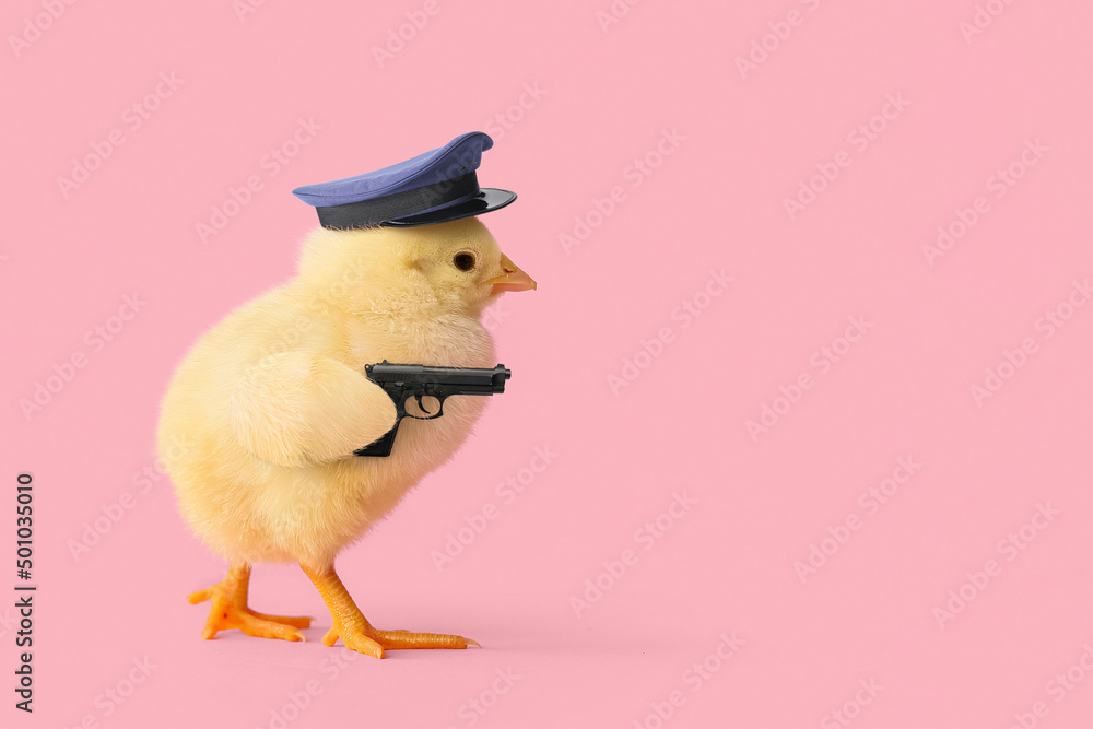 Funny little chick in policeman's hat and with gun on pink background ...