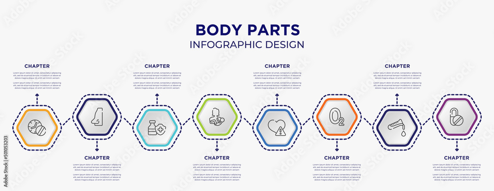 body parts concept infographic template with 8 step or option. included ...