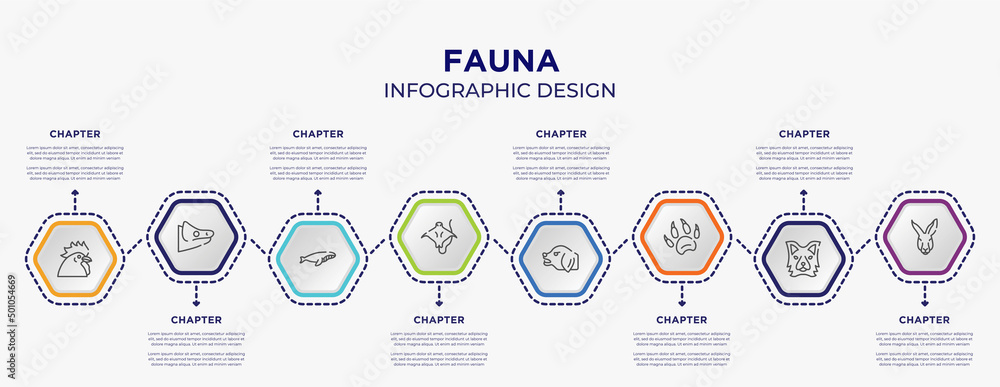 fauna concept infographic template with 8 step or option. included ...