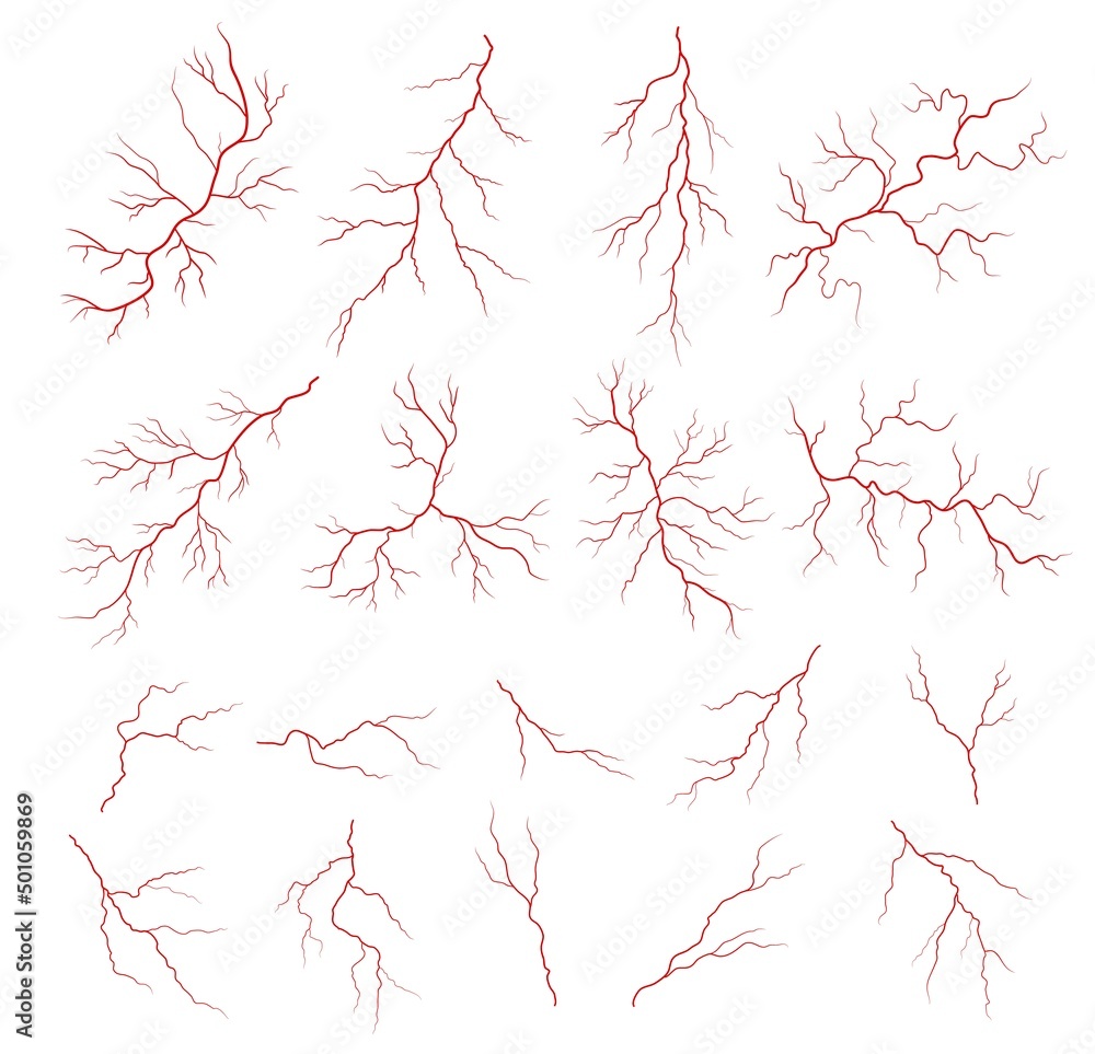 Human red veins, anatomy of blood vein, artery or eye capillary ...