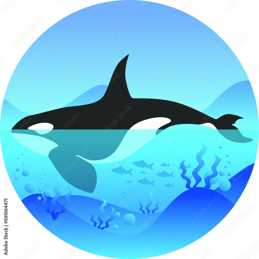Orcinus orca and reefs in ocean. World Ocean Day. Colored vector ...