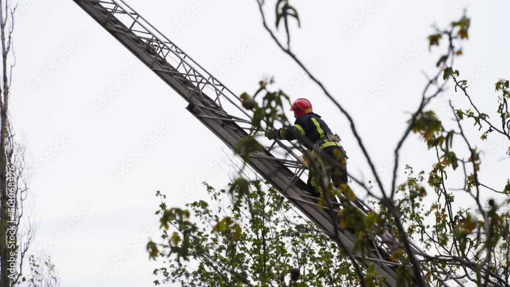 Firefighter climbs the stairs of aerial ladder with a hose to to ...