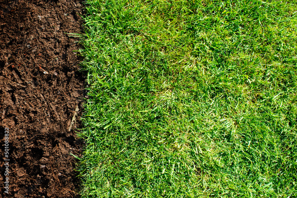 green lawn soil top view background. Stock Photo | Adobe Stock