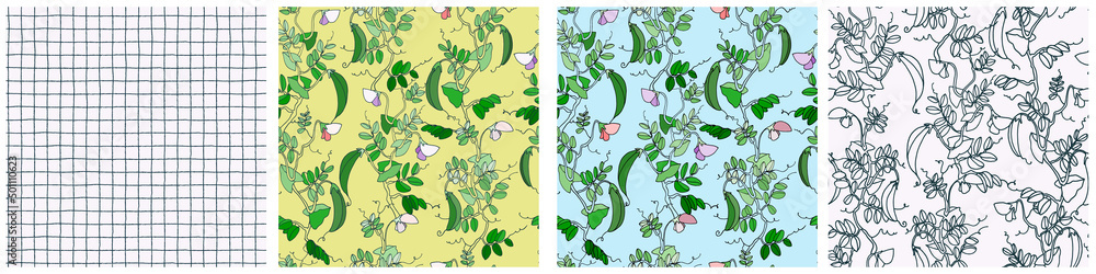 Seamless repeating patterns set. Pea plant with pods and flowers ...