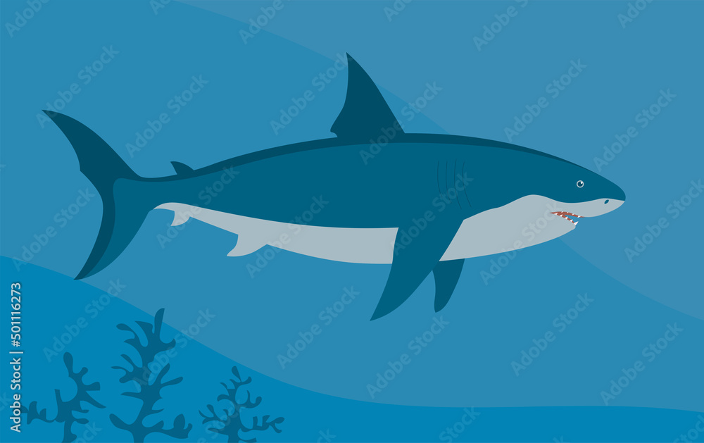 Jurassic Period Shark