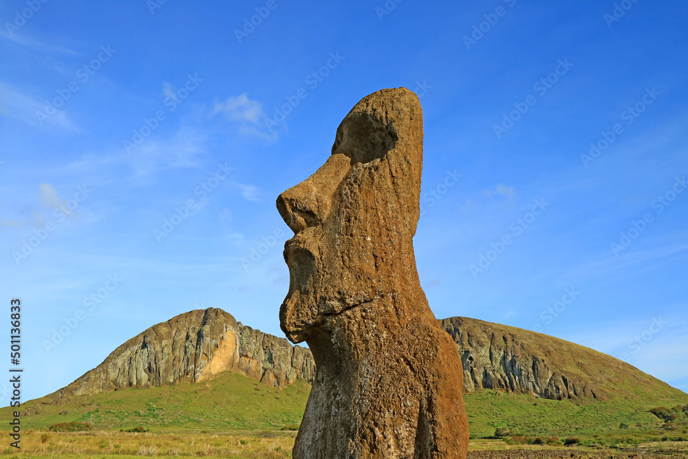 Moai A Vere Ki Haho also known as "Traveling Moai" Solitary Moai at the ...