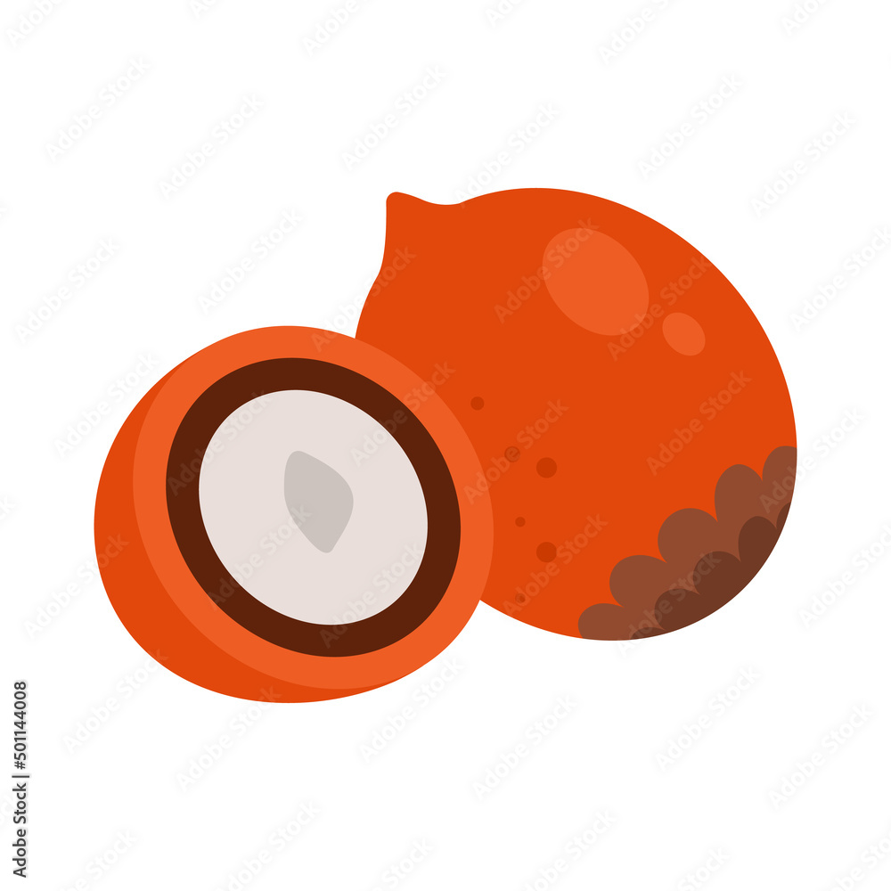 Tucuma whole fruit and half sliced isolated on white background ...