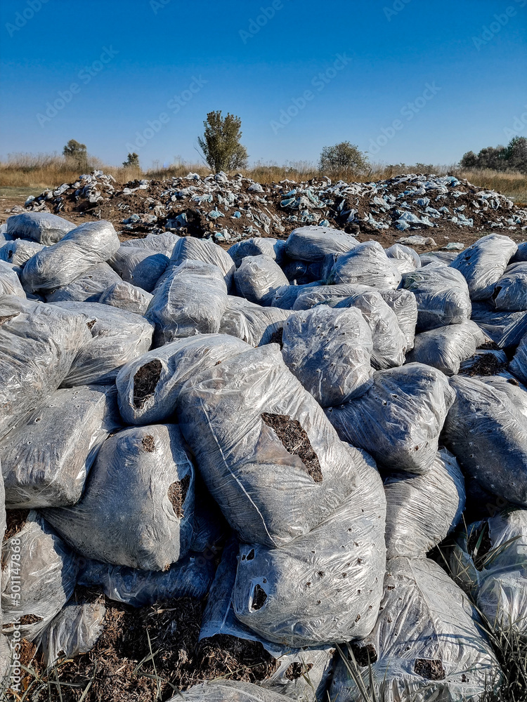 Big high heaps of plastic bags and garbage lying on the open air ...