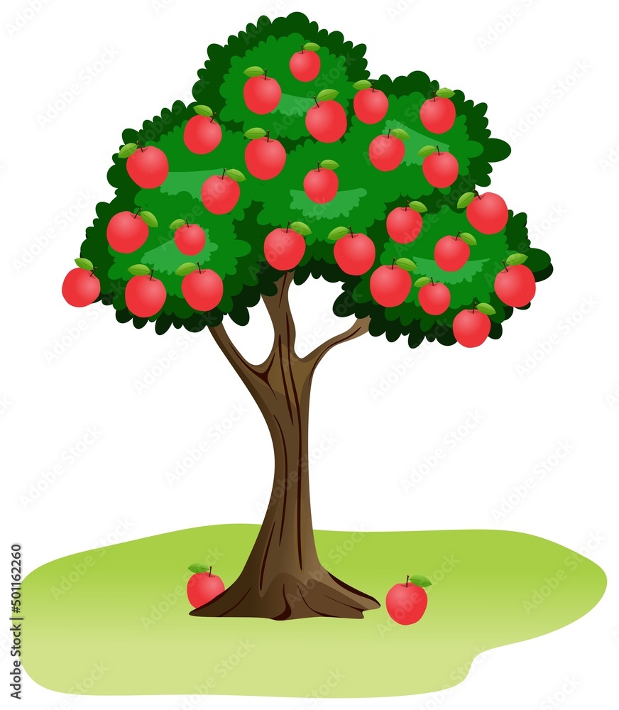 apple tree vector drawing on isolated white background plant fruit fall ...
