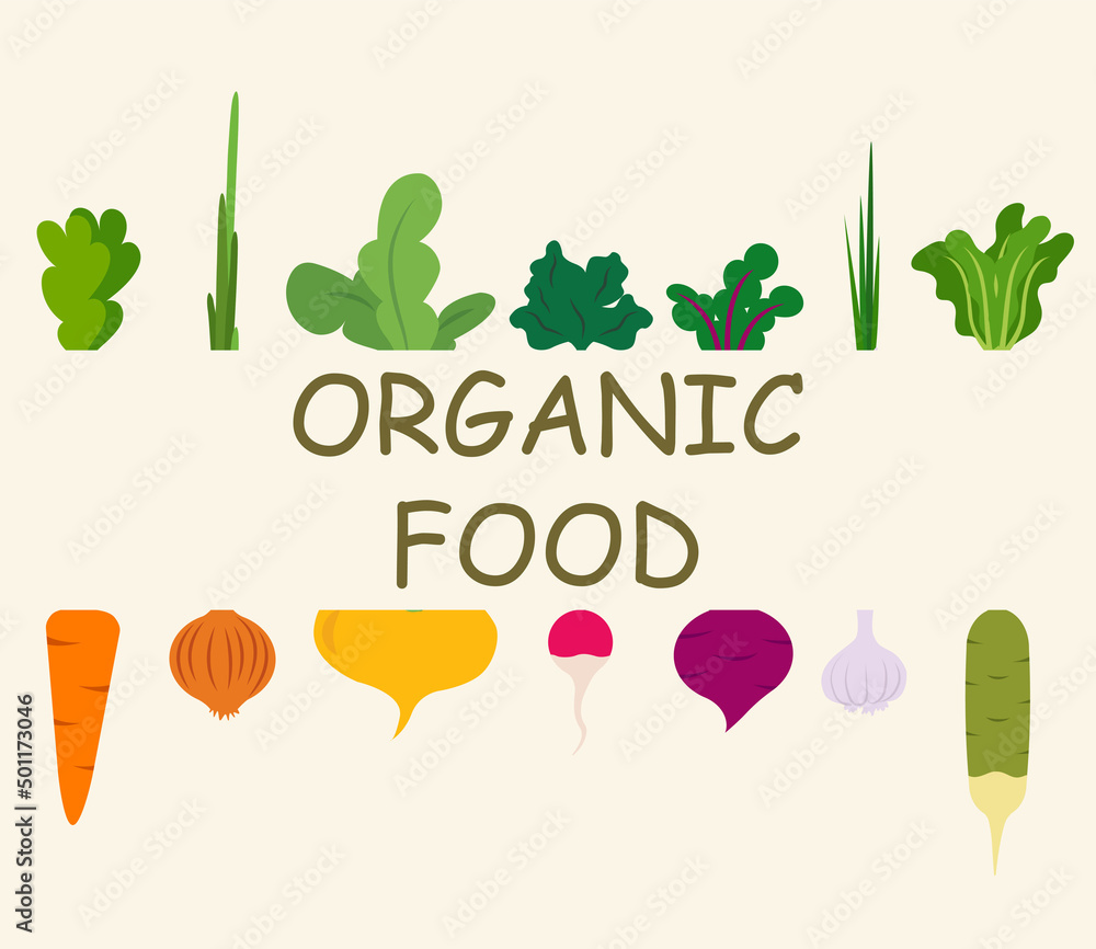 Organic food. Frame with fresh vegetables. Gardening or farming concept ...