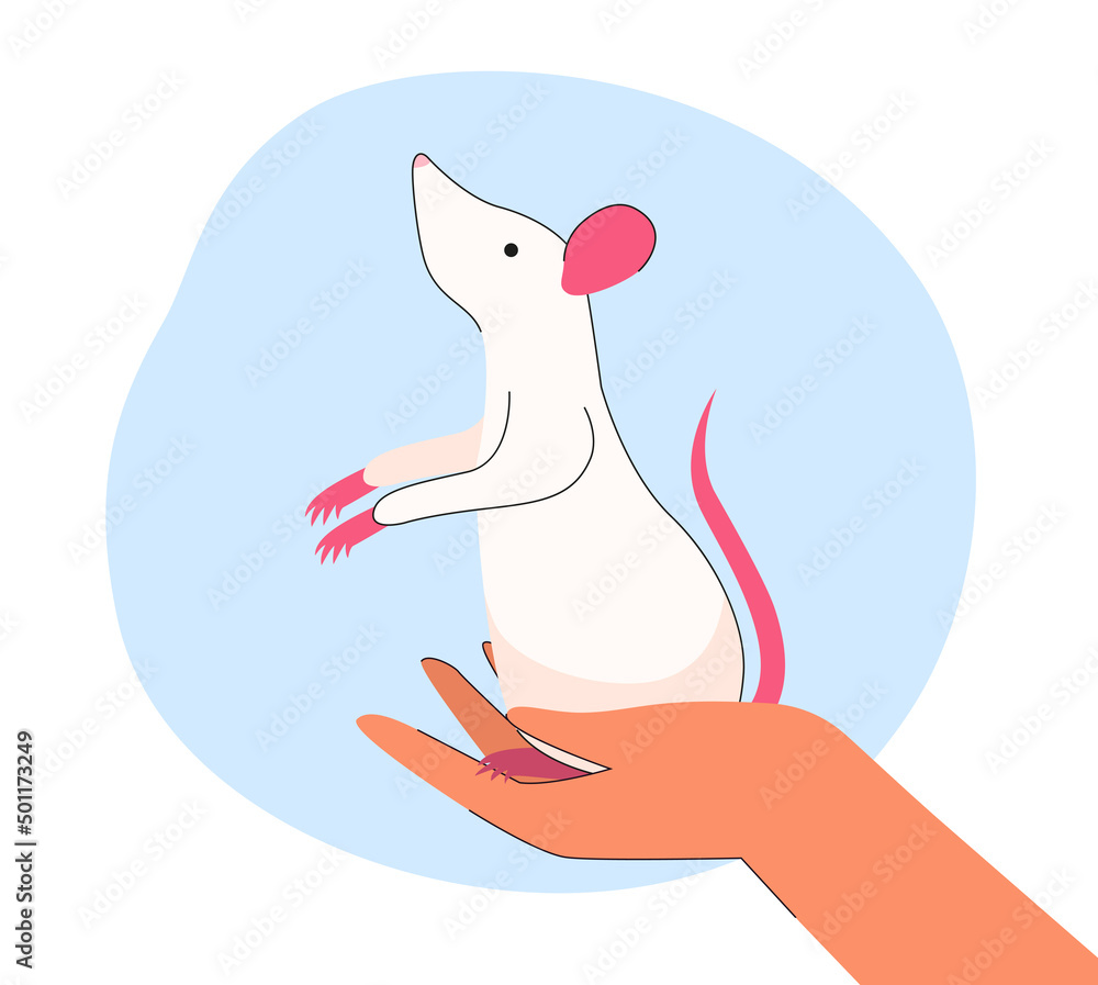 Cute white rat character sitting on hand. Person holding adorable ...