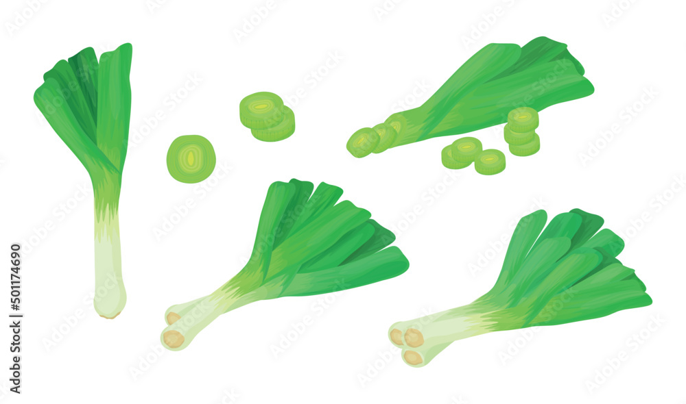 Set of fresh green leeks in cartoon style. Vector illustration of ... Set of fresh green leeks in cartoon style. Vector illustration of ...