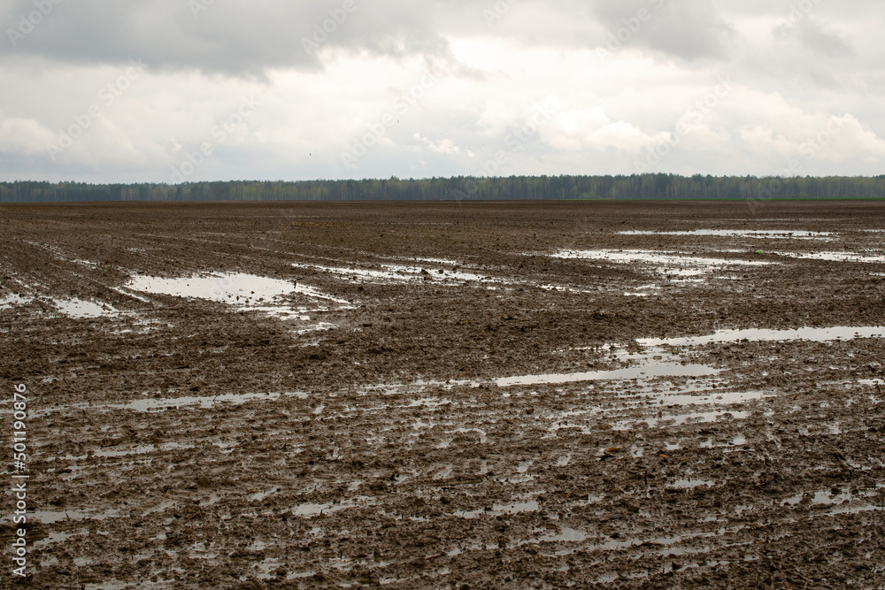Field wet from the rain. Puddles in a sown field, damage, catastrophe ...
