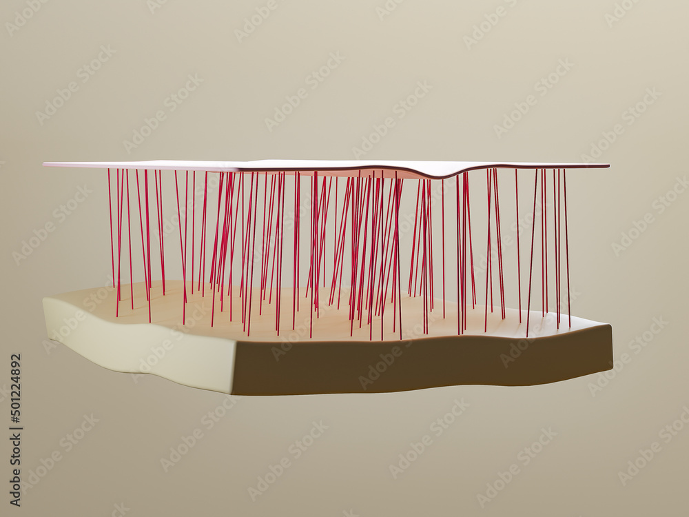 3d render of old and young skin, skin anatomy with collagen and ...