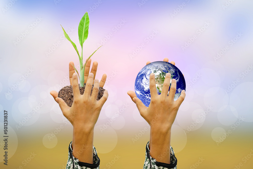 Human hand holding tree and world on blurred nature background.World ...