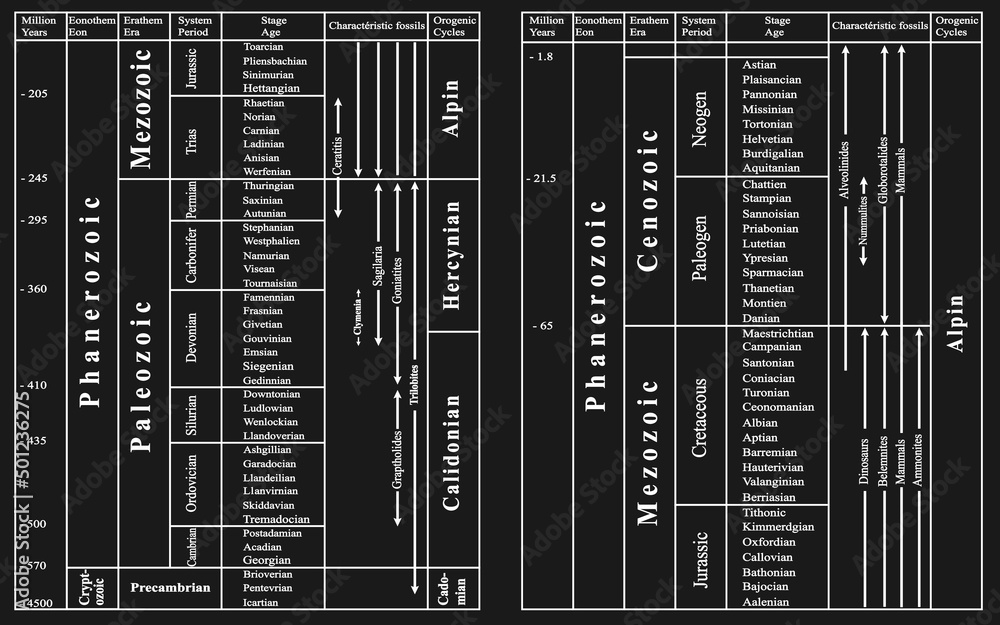 The Geochronological Scale Showing Differentes Geological Times ...