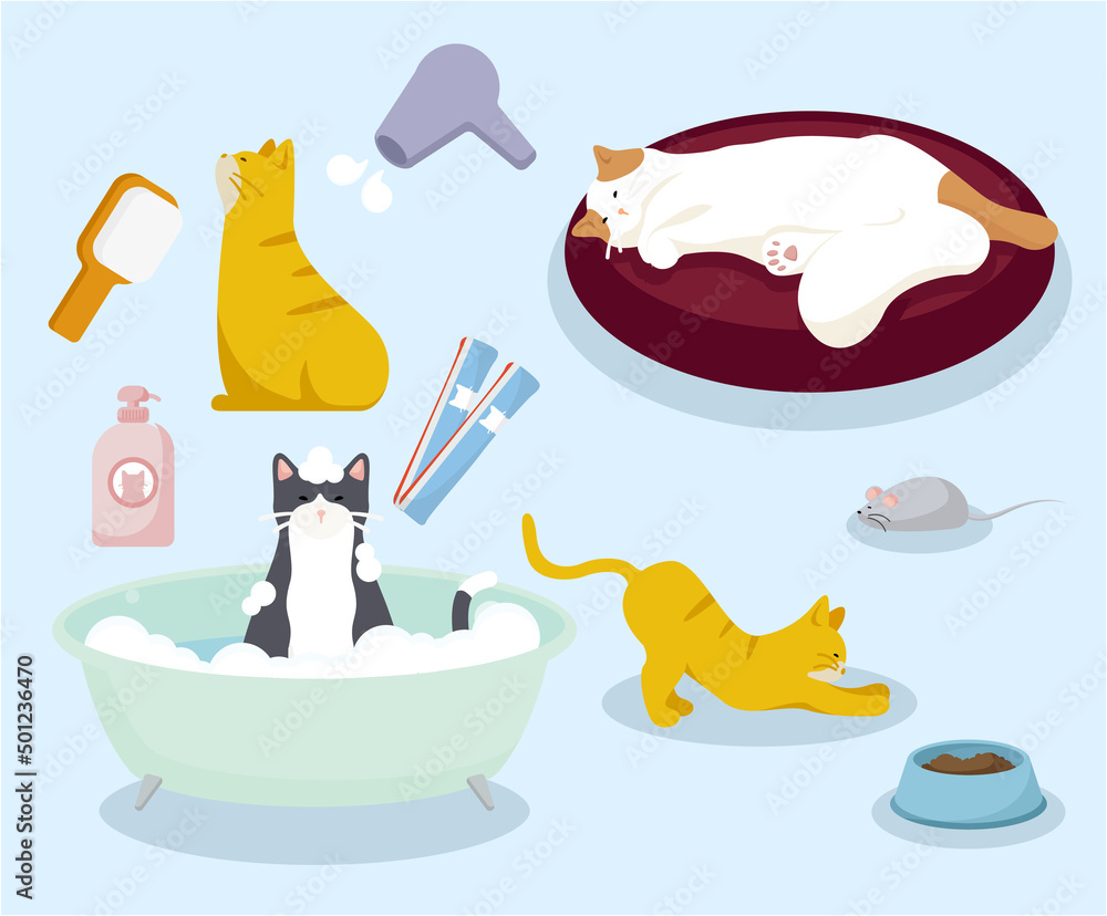 shower cute cat and pet icons items illustration set. tub, bubble ...