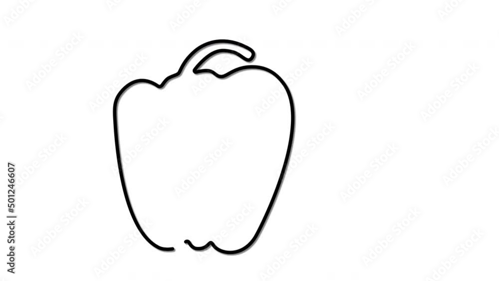 Bell pepper, paprika outline self drawing animation. Line art. White ...
