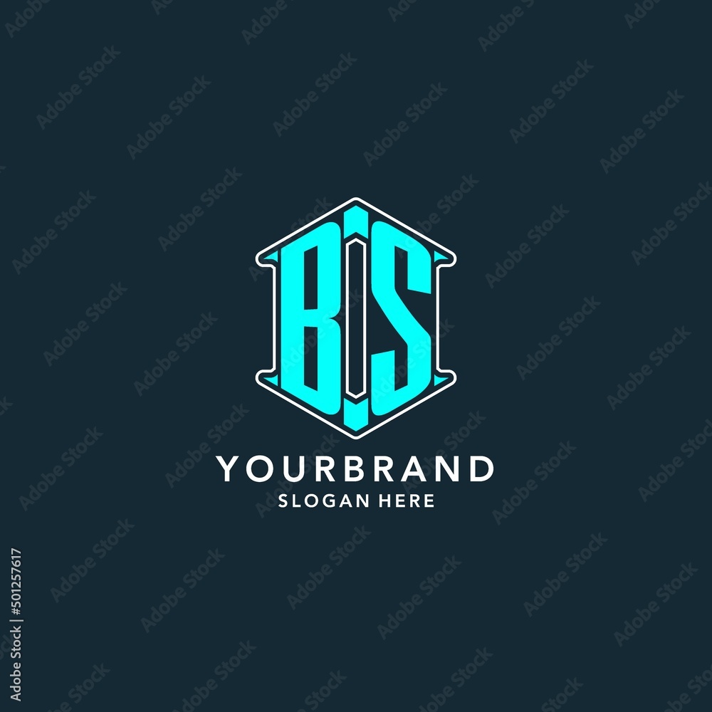 Letter BS logo with hexagon shape geometric style design idea Stock ...