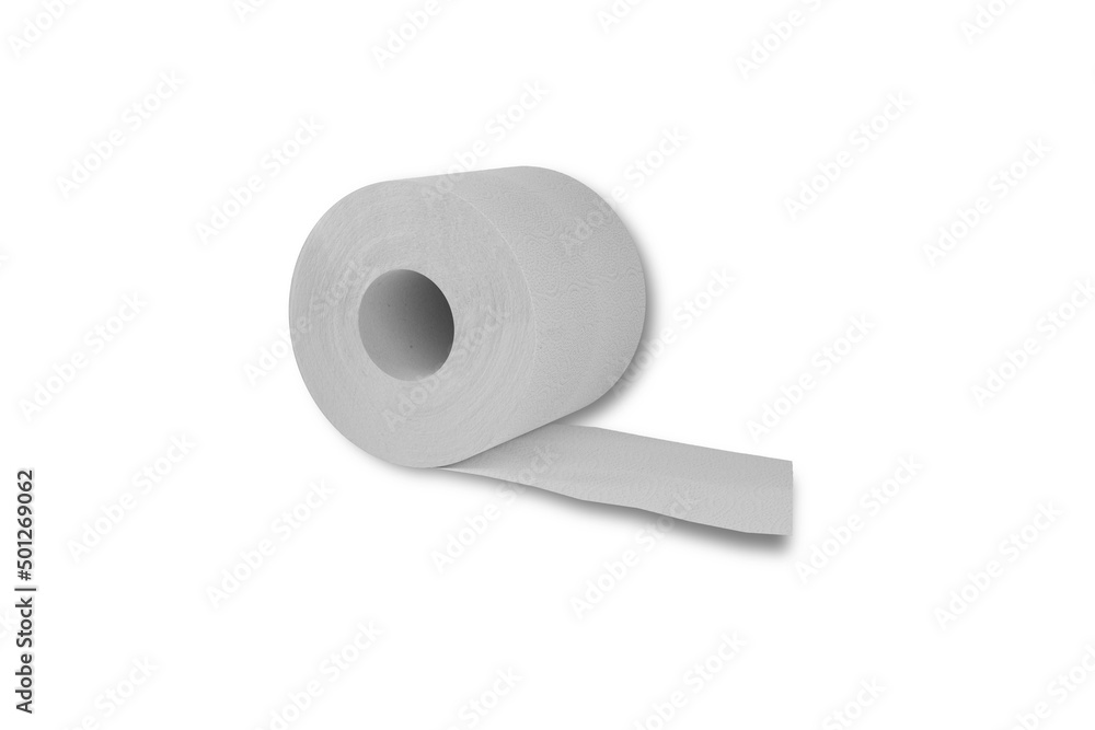 Sanitary, Large parts of one clean roll of toilet paper lie on a white ...