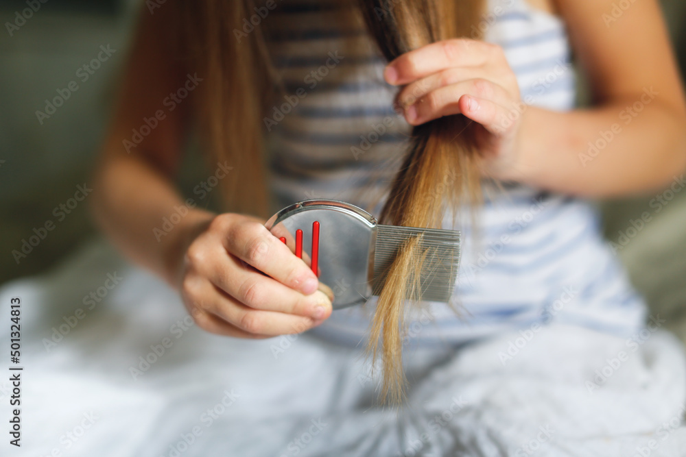 Long-haired European girl child with lice comb, protection. Health and ...