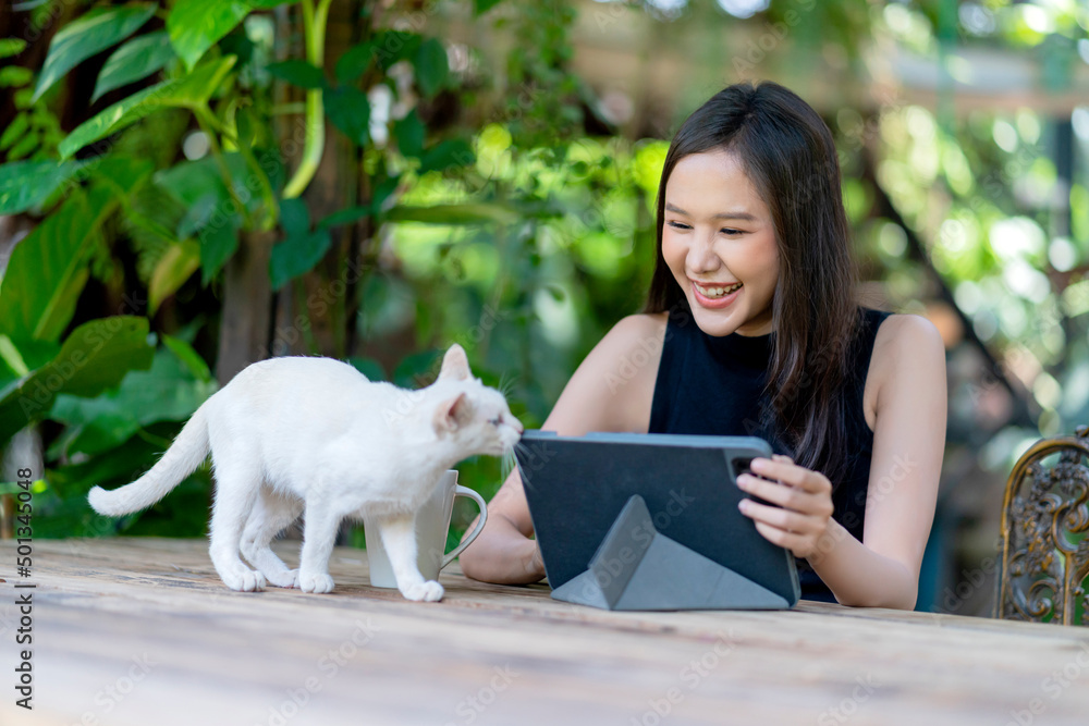 Foto de happiness cat owner asian female woman hand pet cuddle her white cat while sit relax in ...