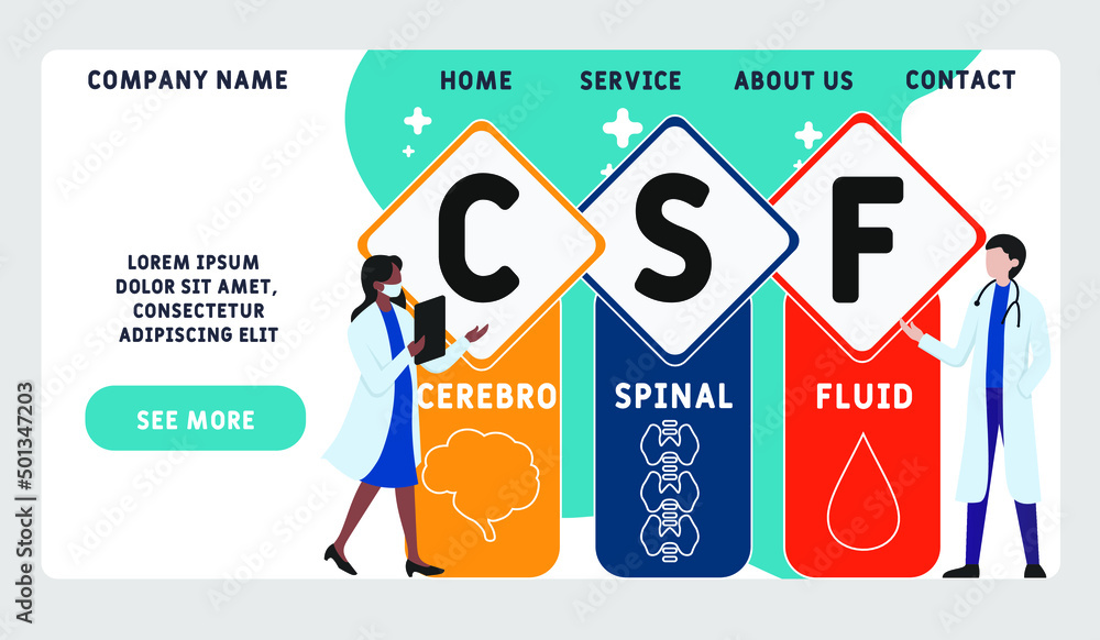 CSF - cerebrospinal fluid acronym. medical concept background. vector ...