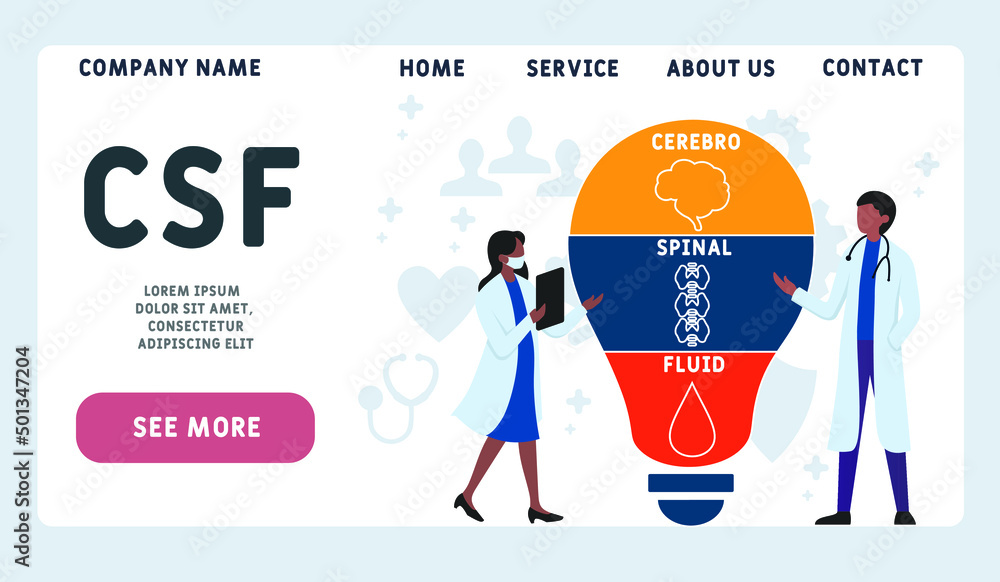 CSF - cerebrospinal fluid acronym. medical concept background. vector ...