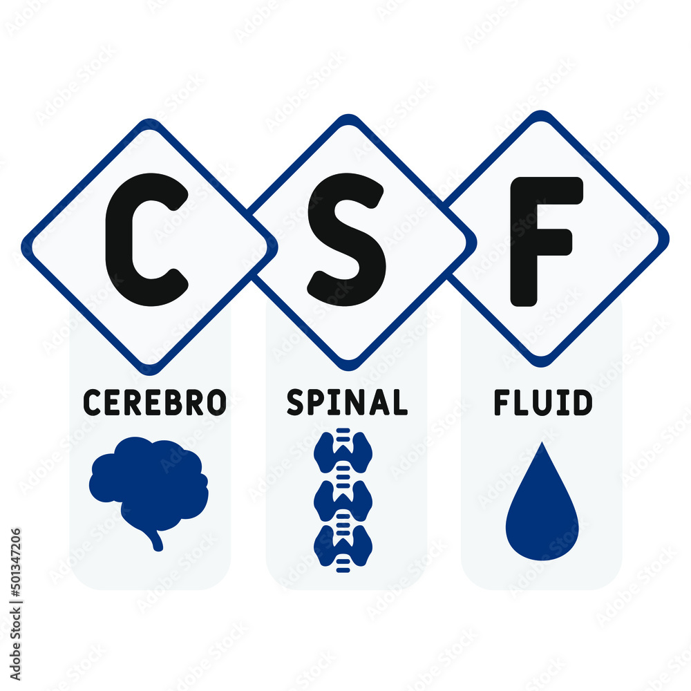 CSF - cerebrospinal fluid acronym. medical concept background. vector ...