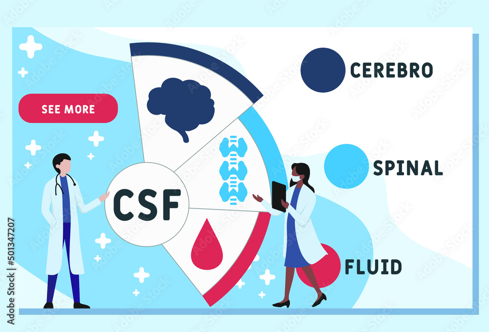 CSF - cerebrospinal fluid acronym. medical concept background. vector ...