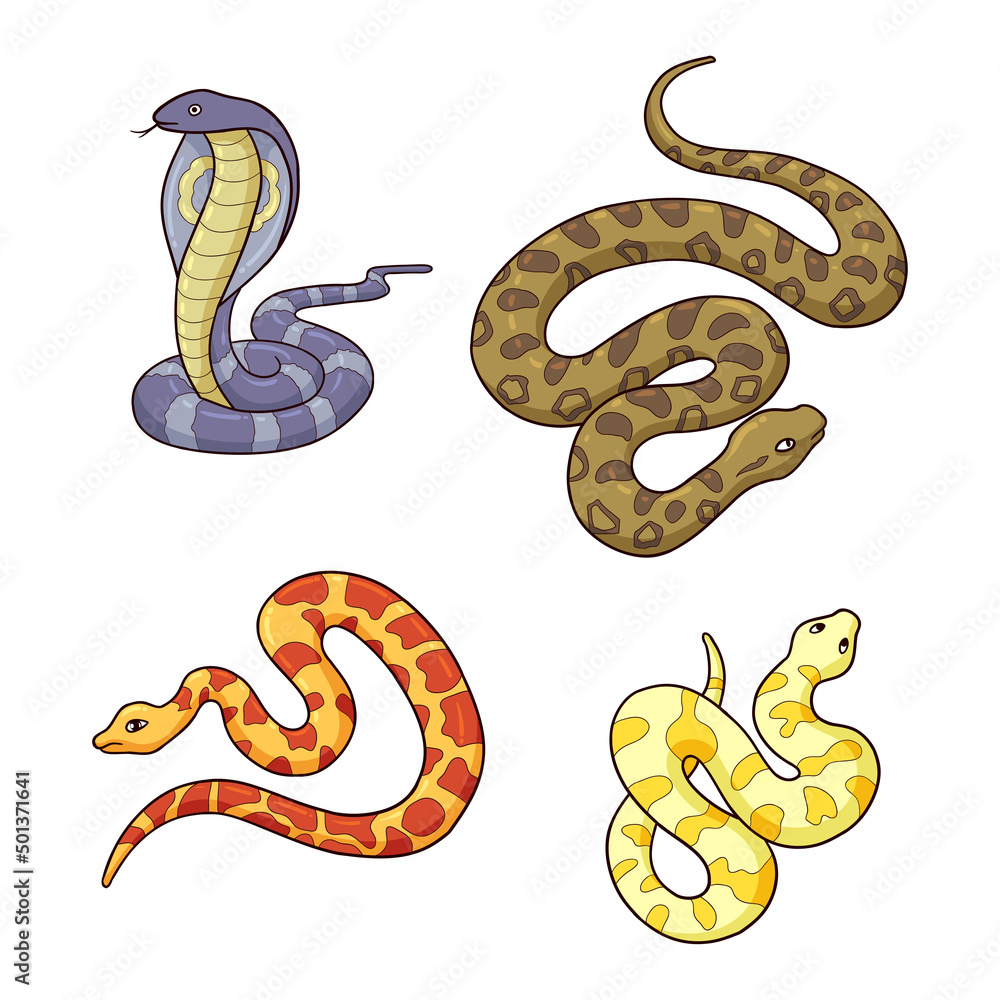 hand drawn snake collection 2 Stock Vector | Adobe Stock