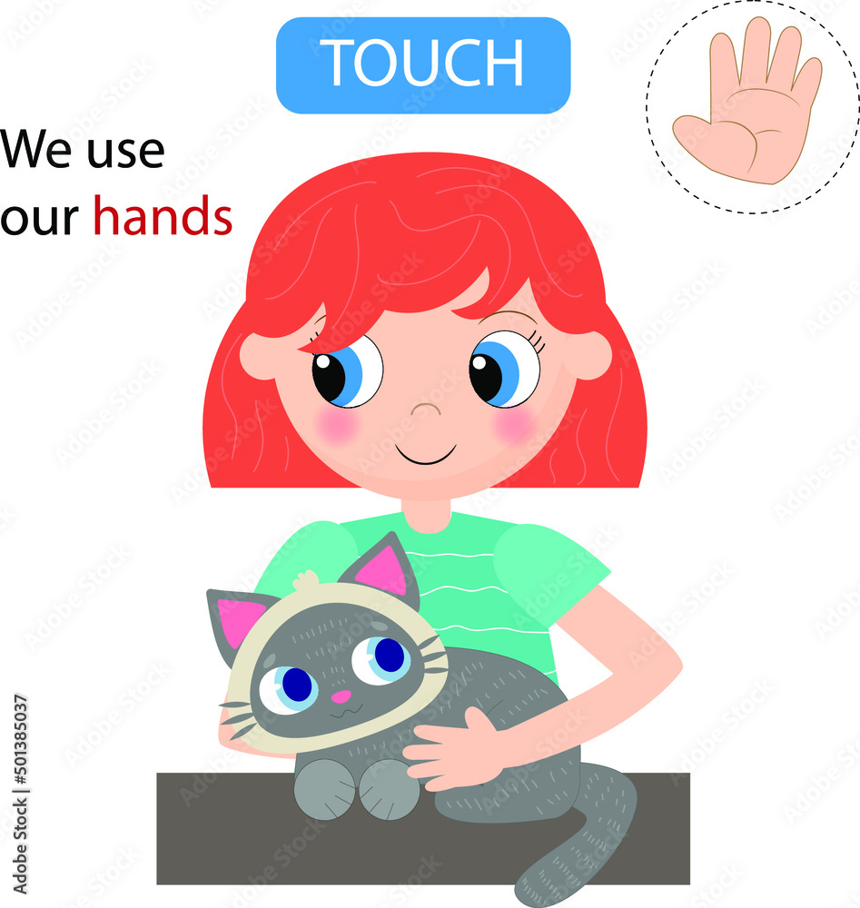 Cute girl touching a cat. Funny montessori game for kids. Learning five ...