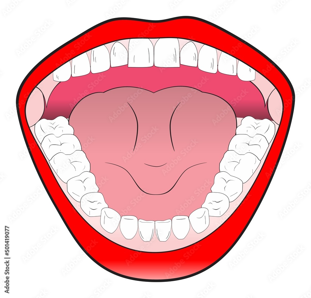 Human open mouth with teeth tongue gums and lips for dentistry ...