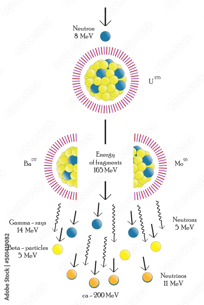Nuclear Fission Infographic Diagram showing impact neutron uranium atom ...
