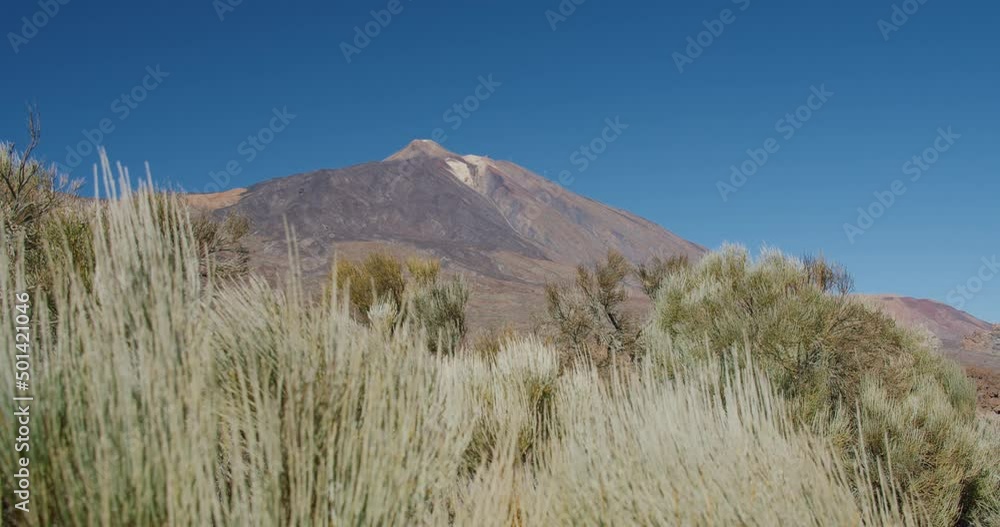 Teide National Park, a bird's eye view of the peak of the volcano ...