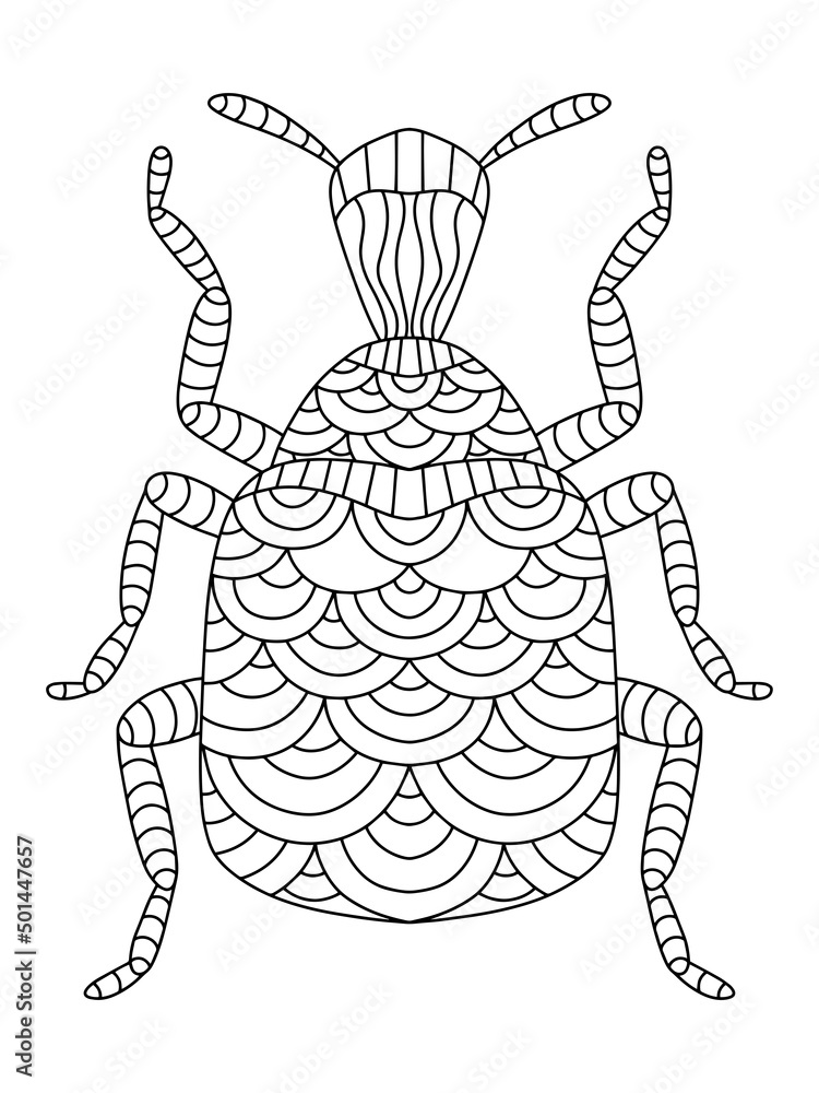Decorative tooth-nosed snout weevils beetle colouring page for adults ...