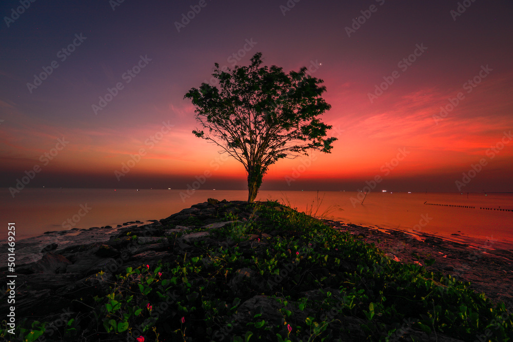 Blurred nature background view of naturally occurring trees and ...