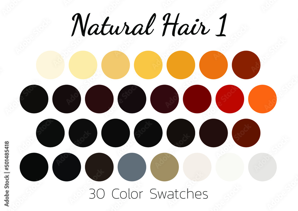 Collection Color palette, swatch color palette, Flat vector ...