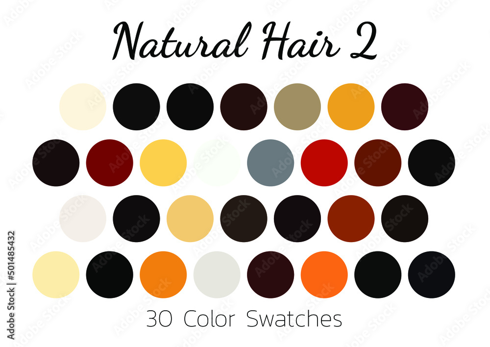 Vetor de Collection Color palette, swatch color palette, Flat vector ...