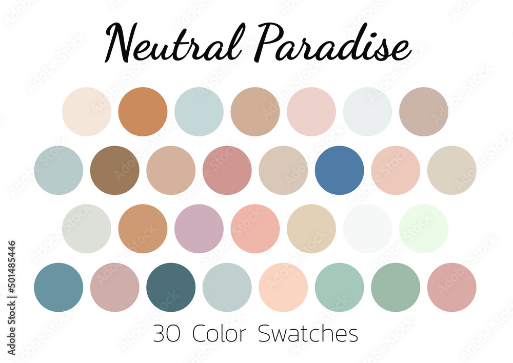Collection Color palette, swatch color palette, Flat vector ...