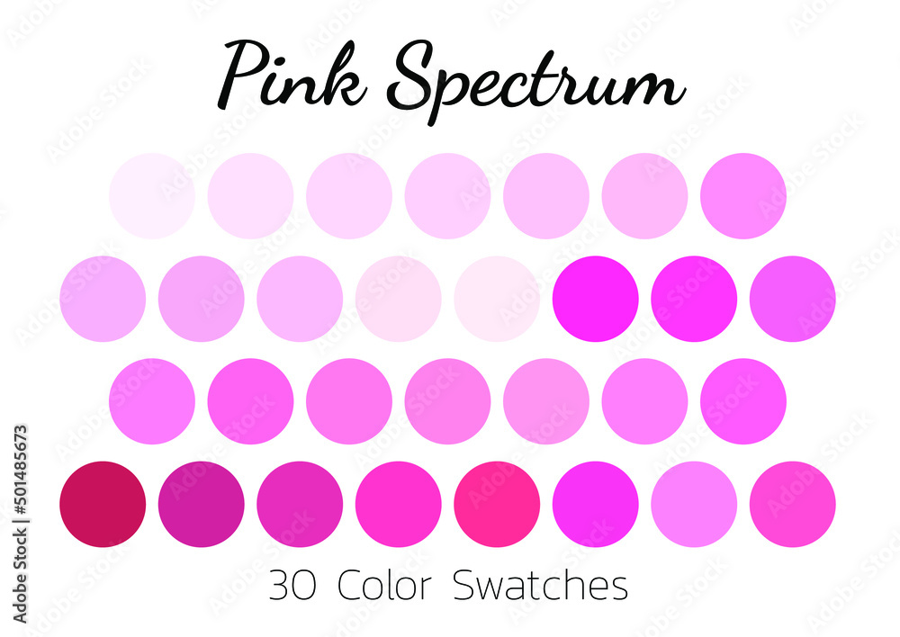 Collection Color palette, swatch color palette, Flat vector ...