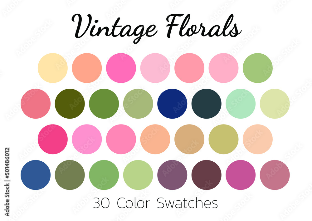 Collection Color palette, swatch color palette, Flat vector ...