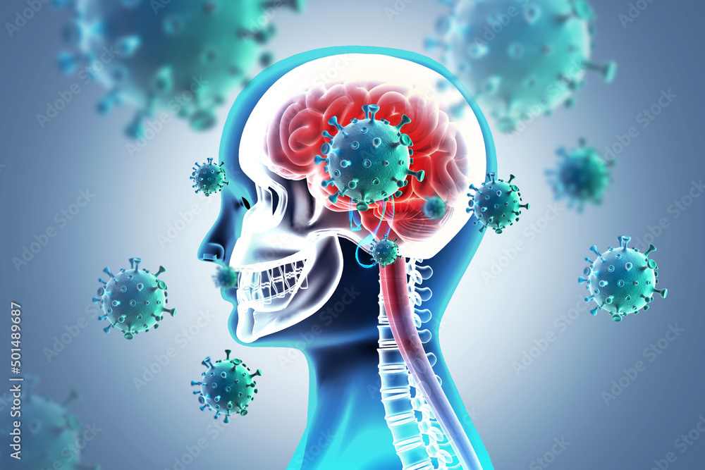 Human brain and virus cells on medical background. Futuristic brain ...