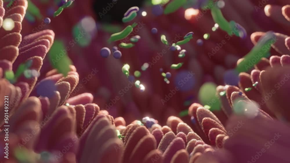 Microbiome intestine factories and microbiota. Gut health 3d render ...