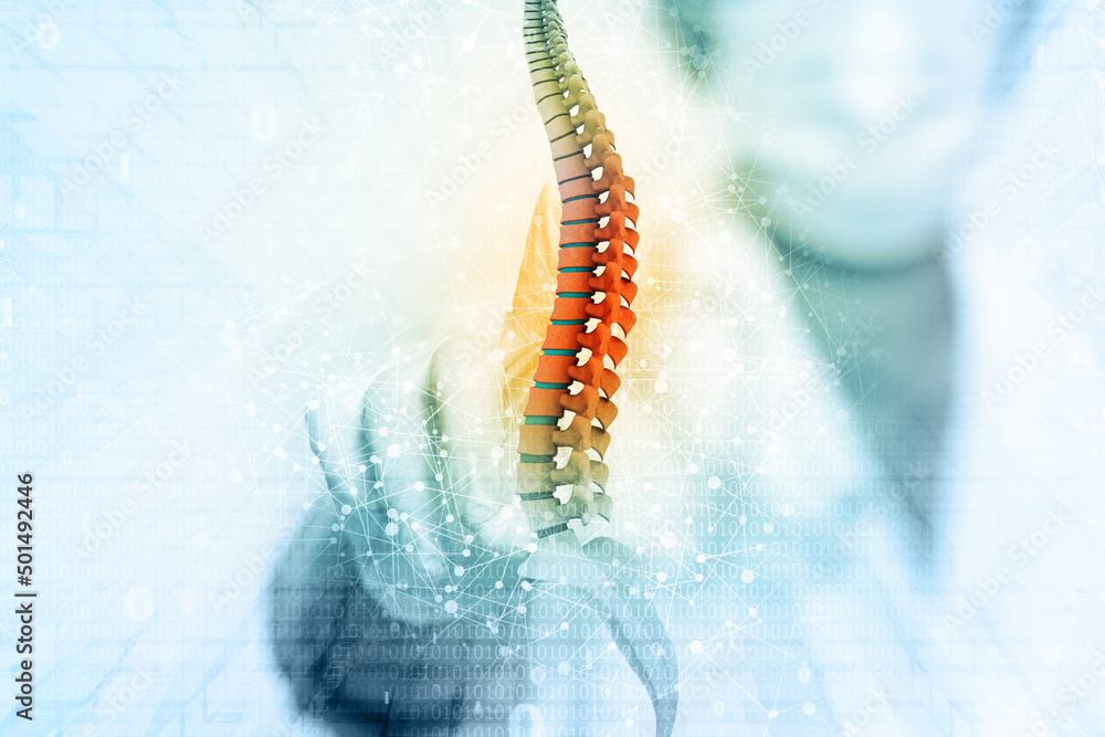 Doctor check and diagnose the human spine on blurred background. 3d ...